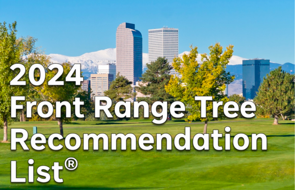 ️ 2024 Front Range Tree Recommendation List - Colorado Arborists and ...